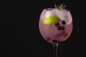 Gin Wild Berry - der "neue" Gin Tonic - myMojito.de